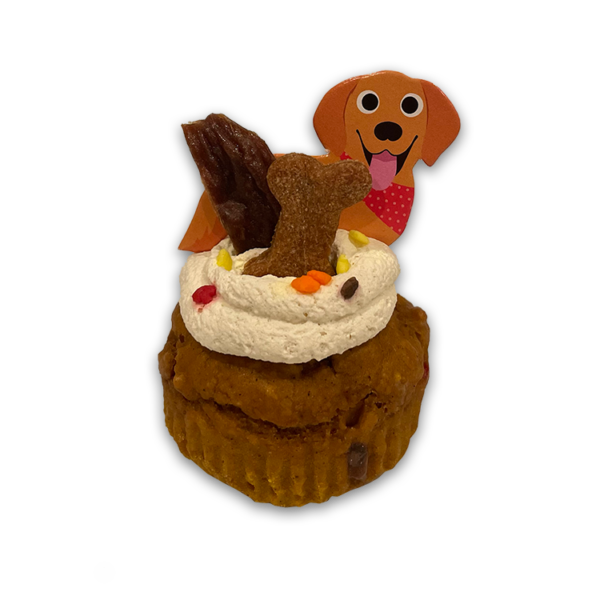 Shop – The Wiggle Bar, LLC